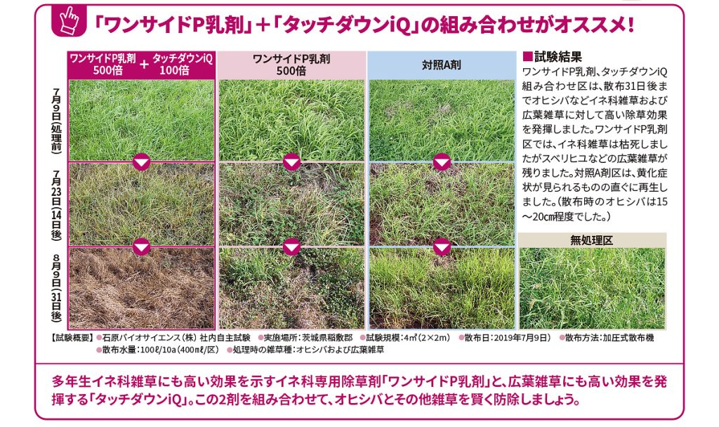 IBJ防除情報 Vol.136 | 石原バイオサイエンス