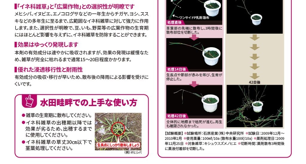 IBJ防除情報 Vol.136 | 石原バイオサイエンス