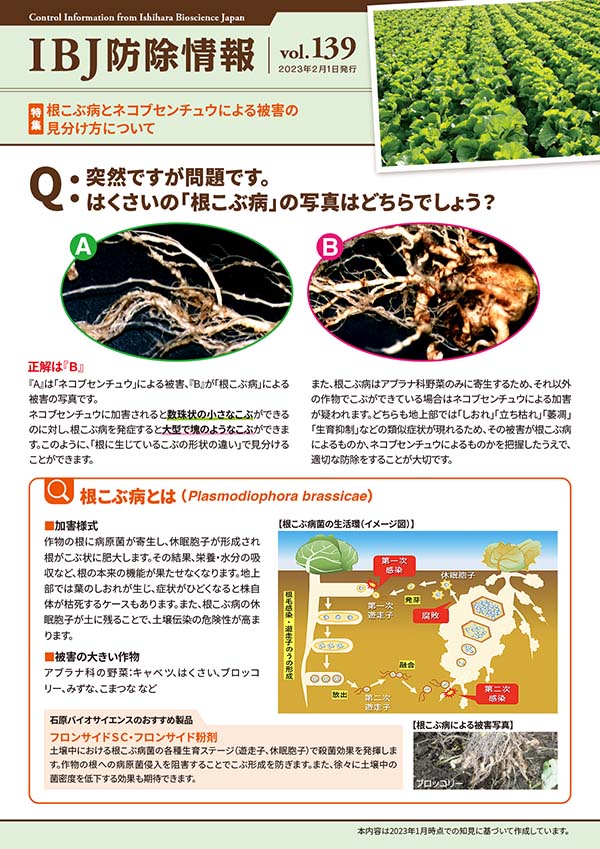 IBJ防除情報 Vol.139 | 石原バイオサイエンス