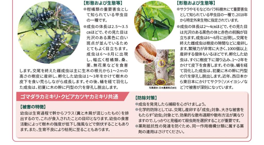 IBJ防除情報 Vol.142 | 石原バイオサイエンス