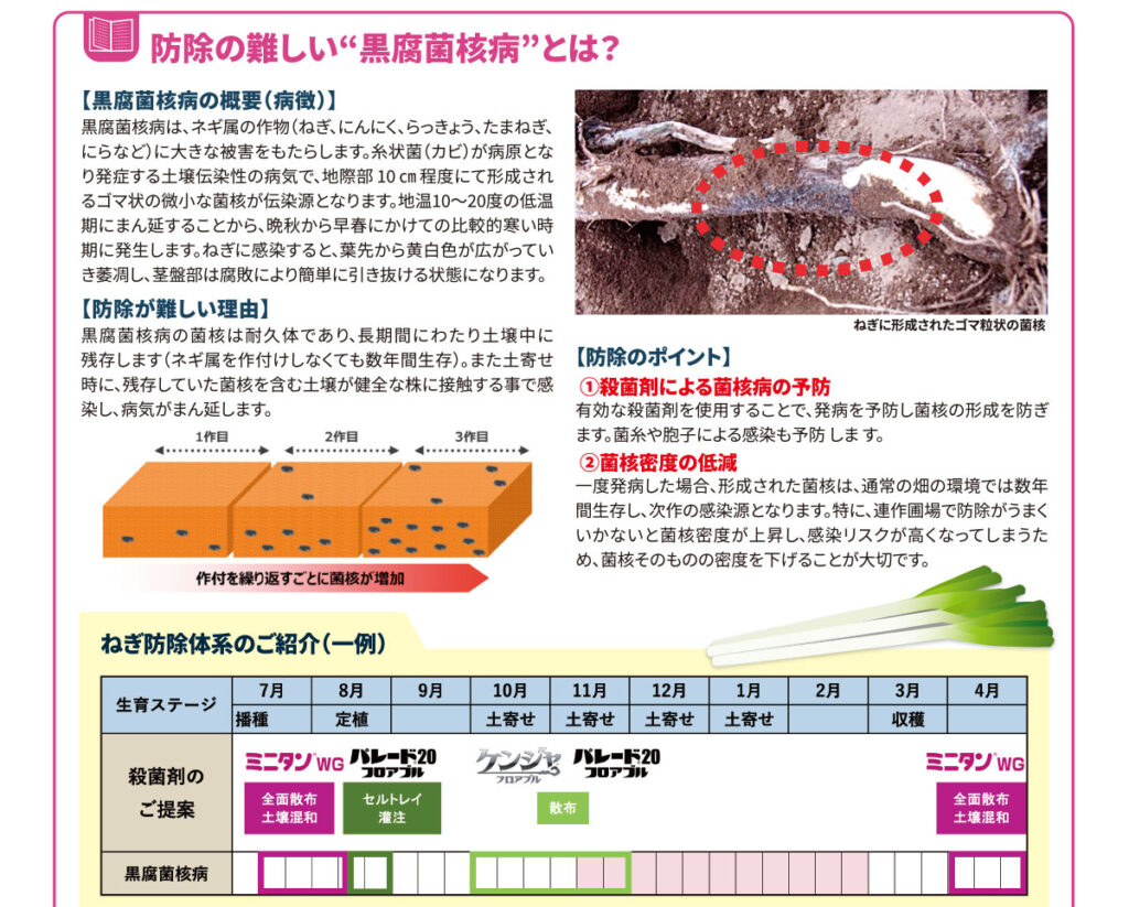 IBJ防除情報 Vol.145 | 石原バイオサイエンス